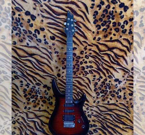 Электрогитара Rockwill by Adams Premium Edition