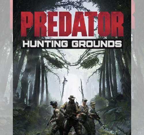 Predator: hunting grounds xbox XS ключ