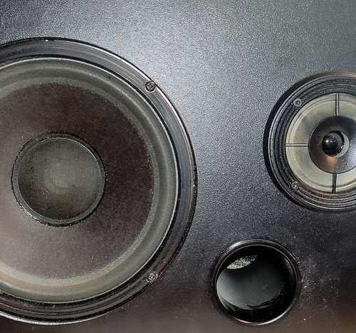 Bose Interaudio 3000 XL