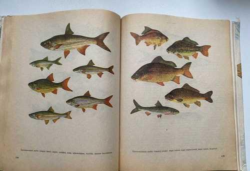 Настольная книга спортсмена рыболова