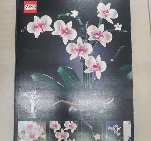 Lego Лего Icons Orchid Орхидея 10311