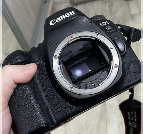 Canon eos 6d mark ii body зеркальный фотоаппарат