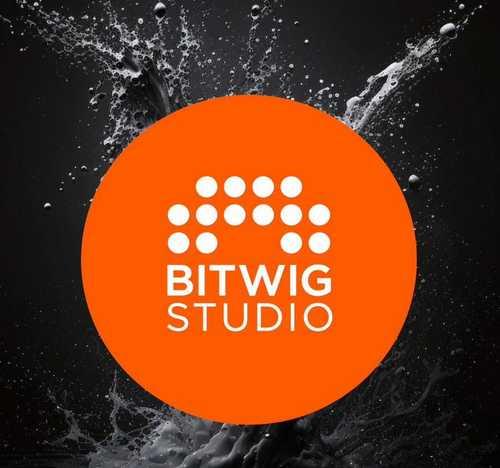 Лицензия BitWig VST плагины и бандлы