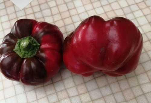 Семена коллекционных томатов и перцев