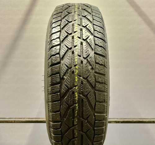 Tigar Winter 185/65 R15 92T