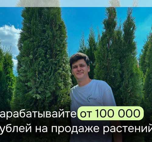 Дропшиппинг на туях и елях