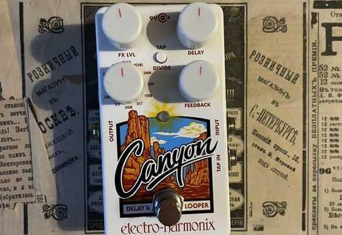 Electro harmonix Canyon