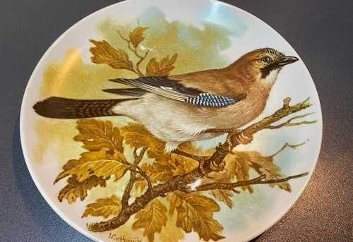Настенная тарелка, лесные птицы Вербилки