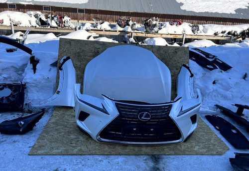 Lexus NX 2020 ноускат