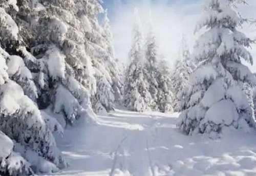 Фотофон растяжка зимнего леса