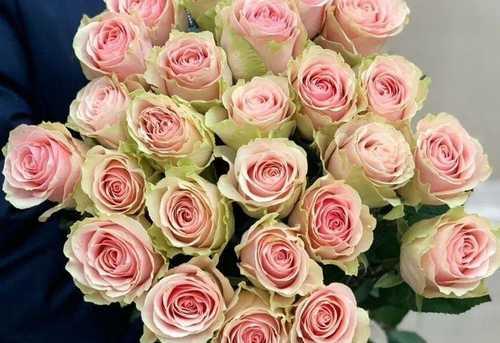 Высокие розы, розы 70 см, букет роз