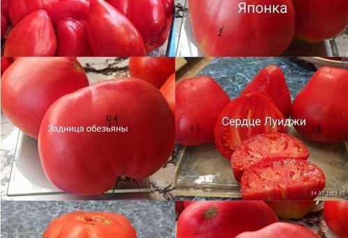 Семена сердцевидных томатов