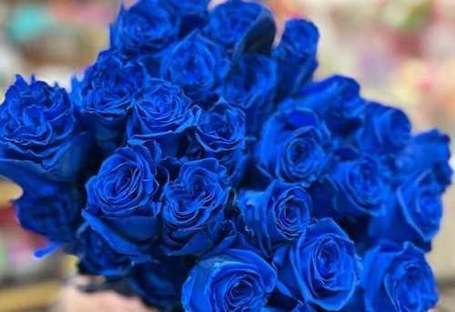Синие розы:Свежее поступление