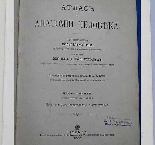 Атлас по анатомии человека В. Гисс