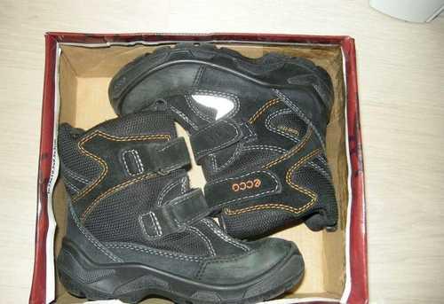 Ботинки для мальчика Ecco (Экко)