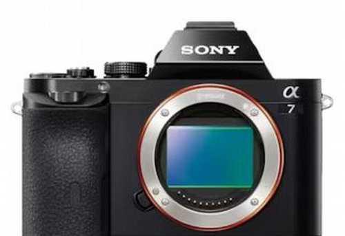 Камера Sony A7 IV