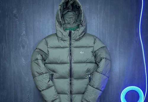 Куртка Lacoste Зимняя (тренд 2023)