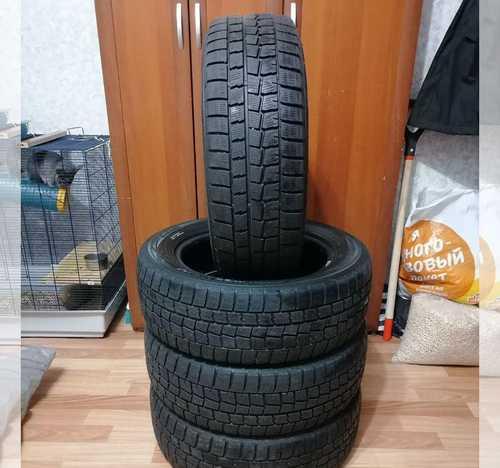 Dunlop SP Winter Maxx WM01 205/60 R16