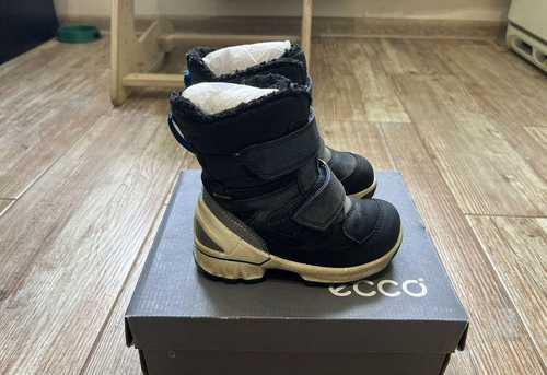 Зимние сапоги Ecco BioM hIKE infant 23 размер
