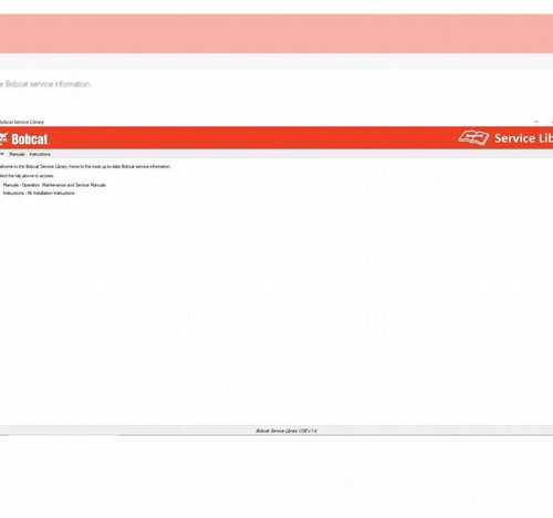 Программа Bobcat Service Library