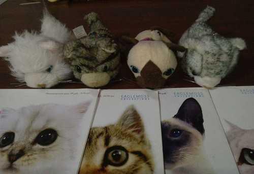 Котята The cat collection с журналами