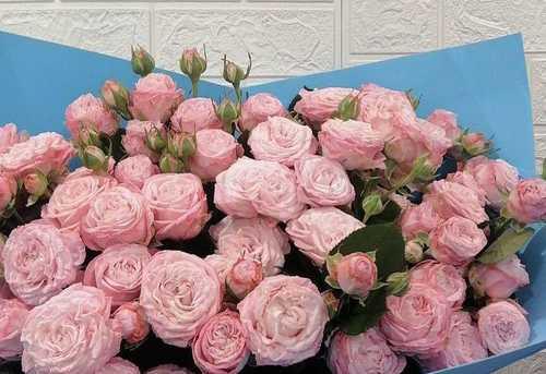 Кустовые пионовидные розы