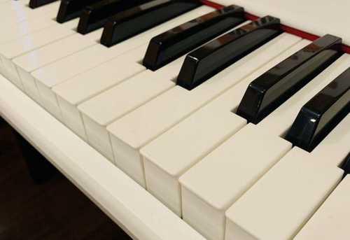 Цифровое Пианино (полный комплект)