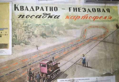 Плакат СССР 1954 год