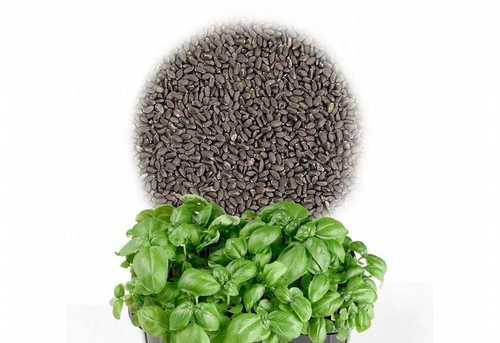 Семена Микрозелень от 50 грамм арт.0031