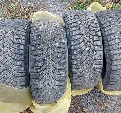 Triangle IceLink Trin PS01 215/55 R17 98
