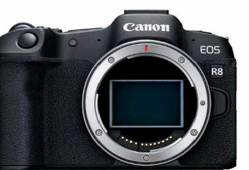 Canon EOS R8 Body