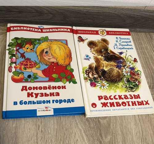 Детские книги библиотека школьника