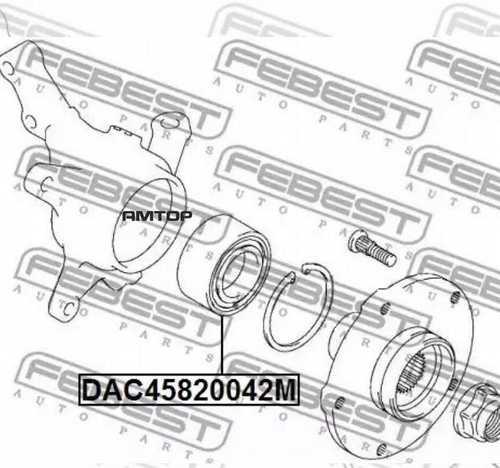 Febest DAC45820042M Подшипник ступицы ford focus C