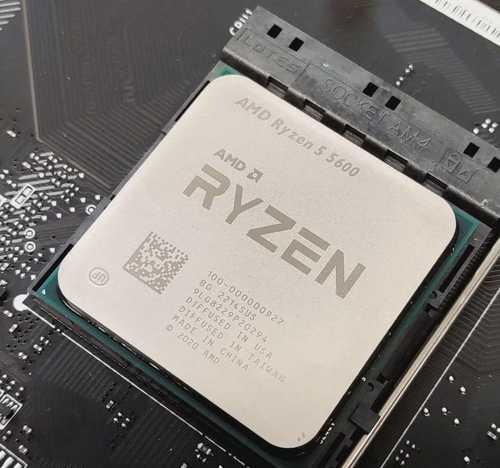 Amd Ryzen 5 5600 OEM