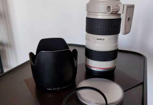 Canon EF 70-200mm f/2.8L USM