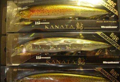 Megabass Kanata Ayu 160 F - # 5, # 25, # 5