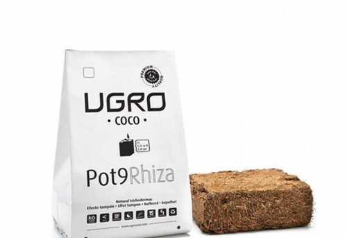 Кокосовый брикет UGro Pot 9 Rhiza