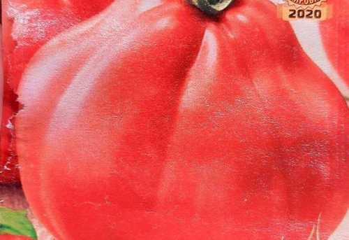 Рассада томатов Пузата хата