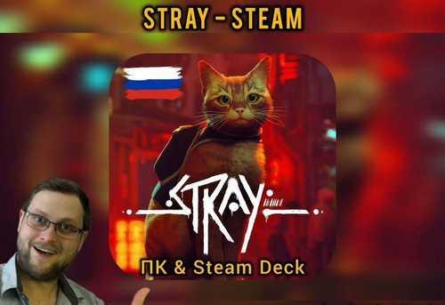Stray Пк & Steam Deck (1100+ отзывов) Навсегда