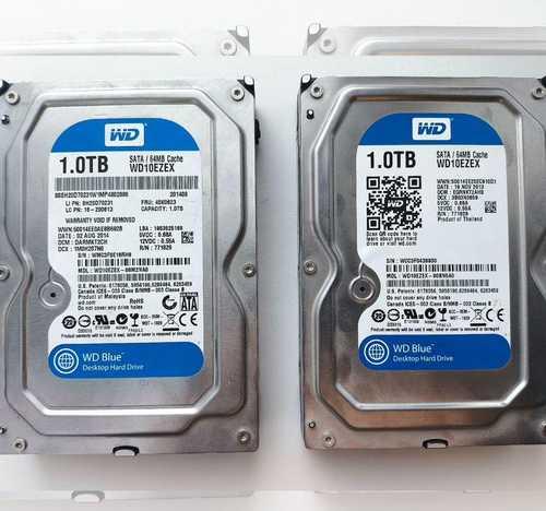 Жесткие диски WD blue 1tb