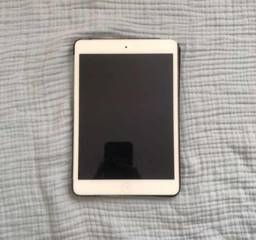 iPad mini 2