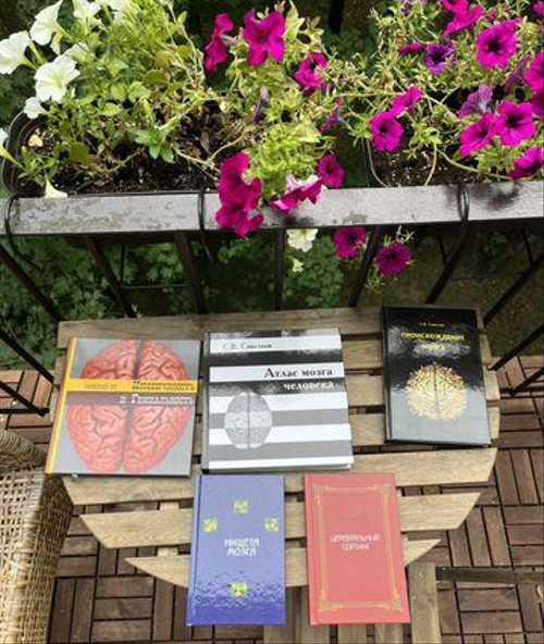 Книги профессора С.В. Савельева