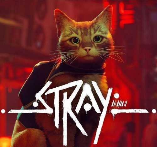 Stray PS4 PS5