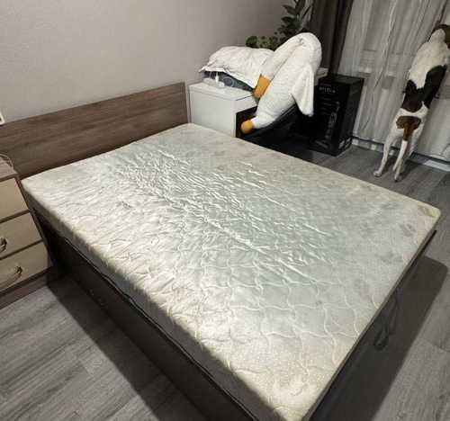Матрас ортопедический 140х200 promtex