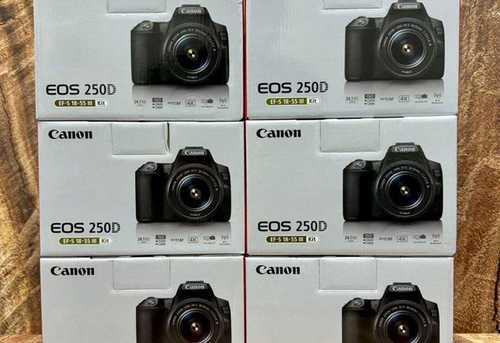 Canon EOS 250D Kit 18-55mm F/3.5-5.6 III