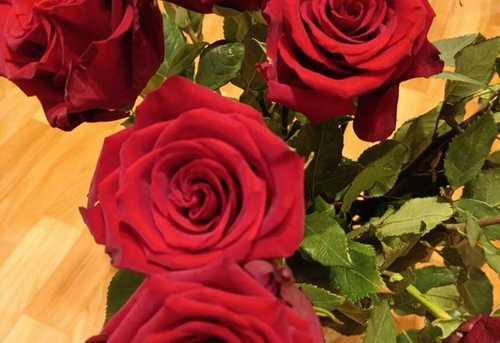 Букет красных роз 15 штук 45 см срез 12 июня