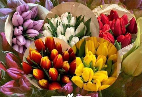 Тюльпаны оптом и в розницу к 8 марта