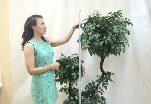 Фикус Бенджи цветок искусственный деревья