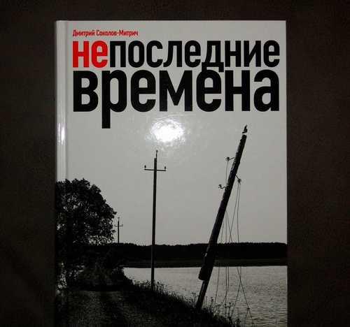 Дмитрий Соколов-Митрич. Непоследние времена