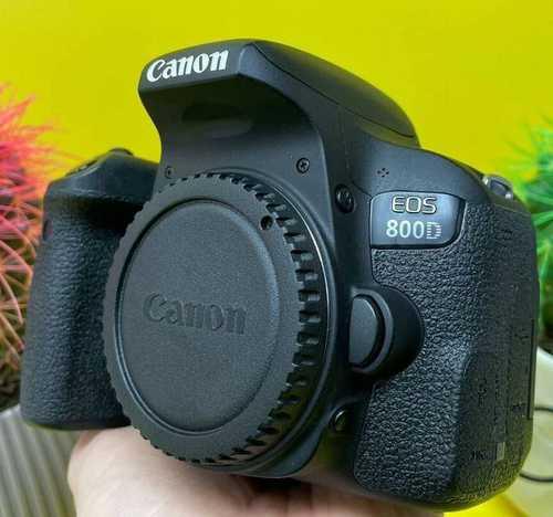 Canon EOS 800D Body